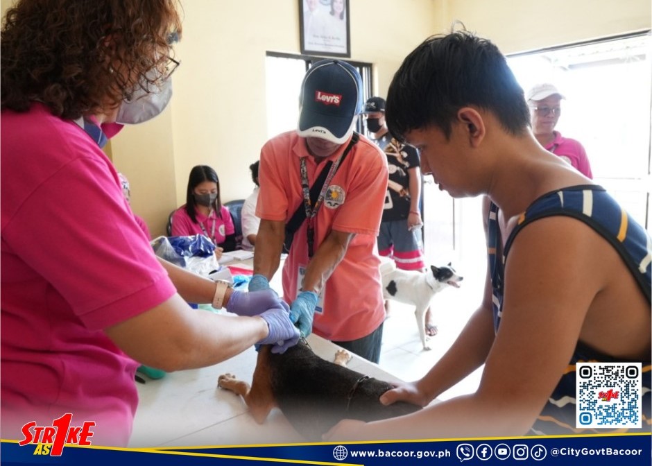 Libreng Bakuna sa mga aso at pusa, Isinagawa sa Brgy. Tabing Dagat ... Libreng Bakuna sa mga aso at pusa, Isinagawa sa Brgy. Tabing Dagat ...